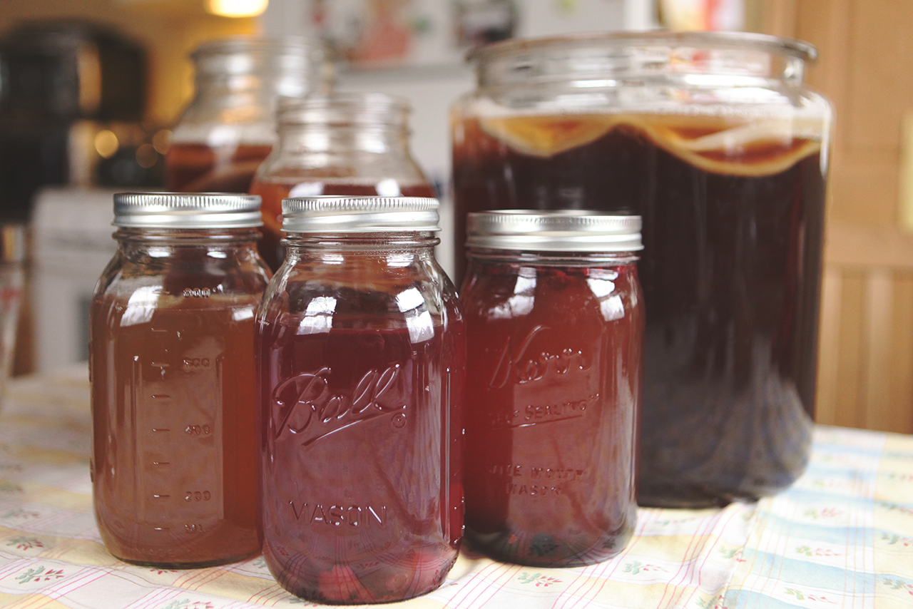 A Guide to Kombucha – Gatherhaus
